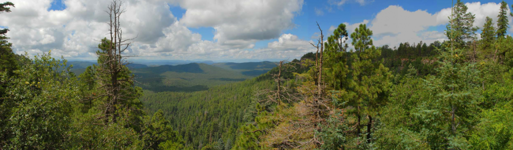Town of Star Valley, Arizona