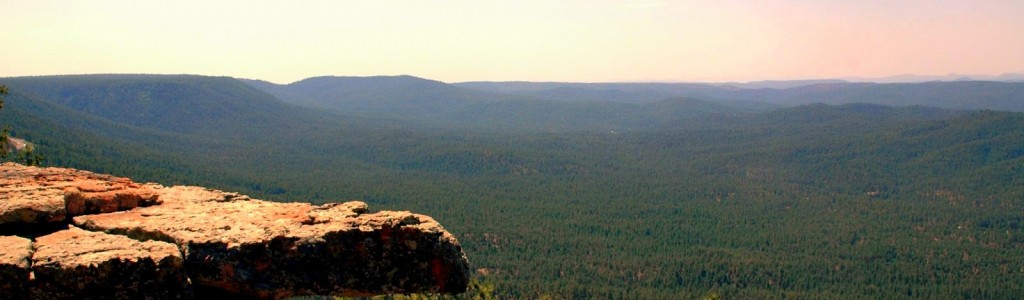 Town of Star Valley, Arizona