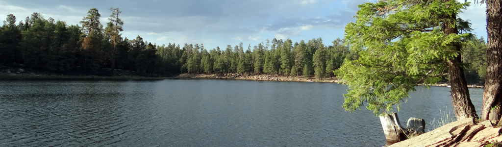 Town of Star Valley, Arizona